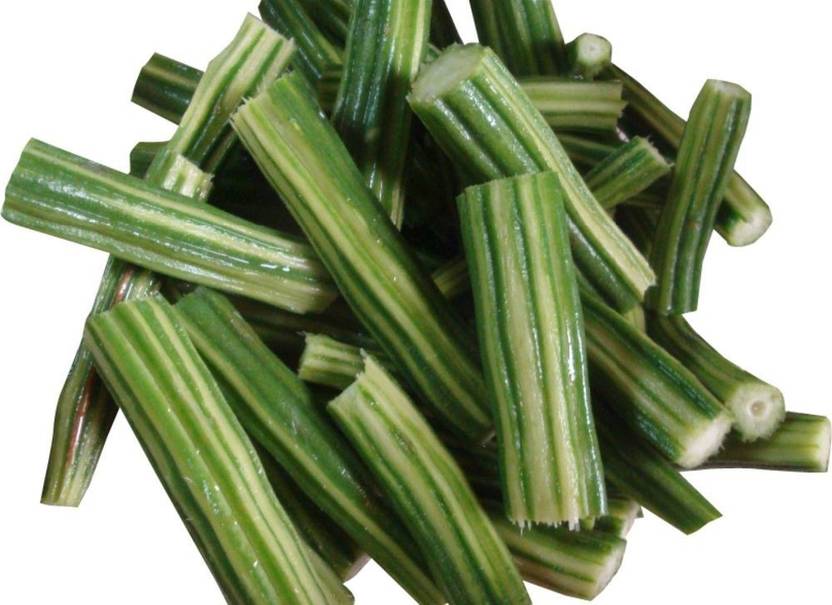 RSLT DrumStick Moringa Oleifera Murangai, Saijan Ki Phalli Seed Price ...