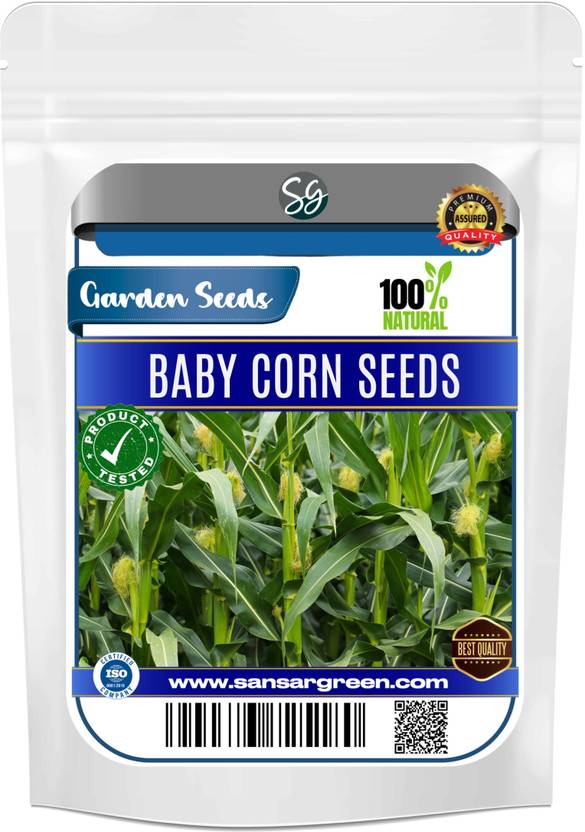 Sansar Green Baby Corn Seed Price in India - Buy Sansar Green Baby Corn ...