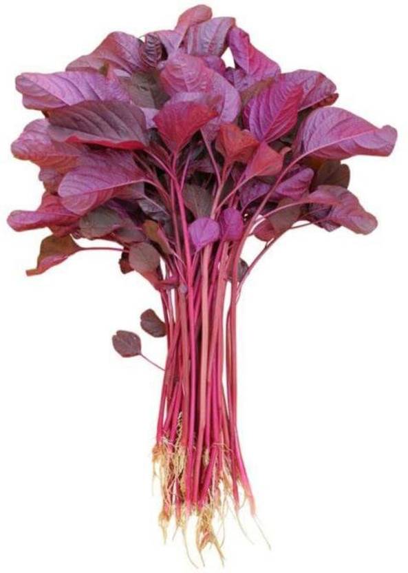 KANAYA Cholai Saag Seed Price in India - Buy KANAYA Cholai Saag Seed ...