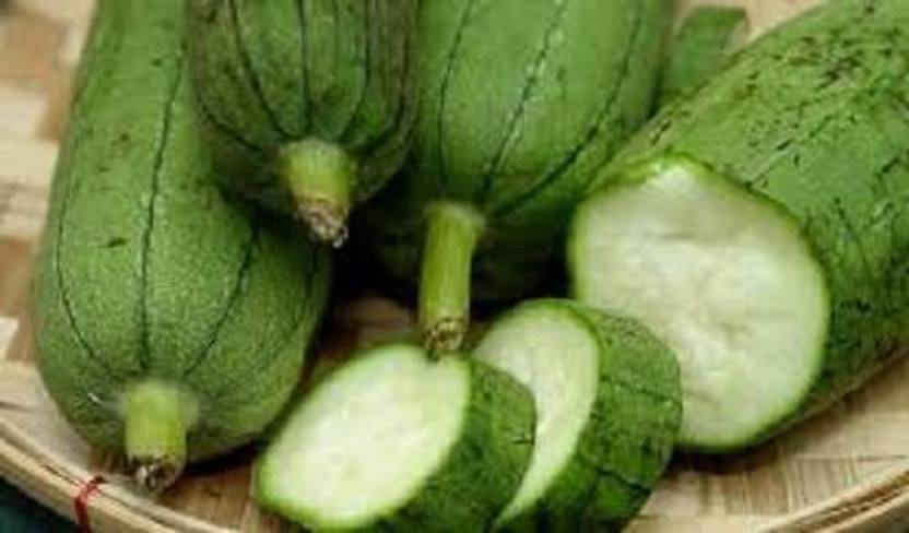 VibeX ® VMR-137 Hybrid Seeds Sponge Gourd, Peechinga, Goshali, Tori ...