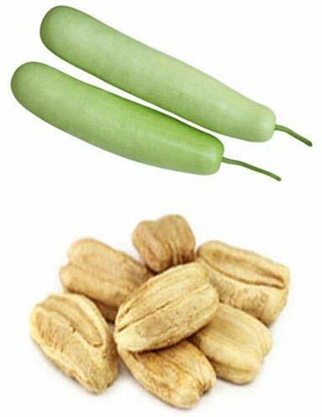 TRICONE Lauki Seed Price in India - Buy TRICONE Lauki Seed online at ...