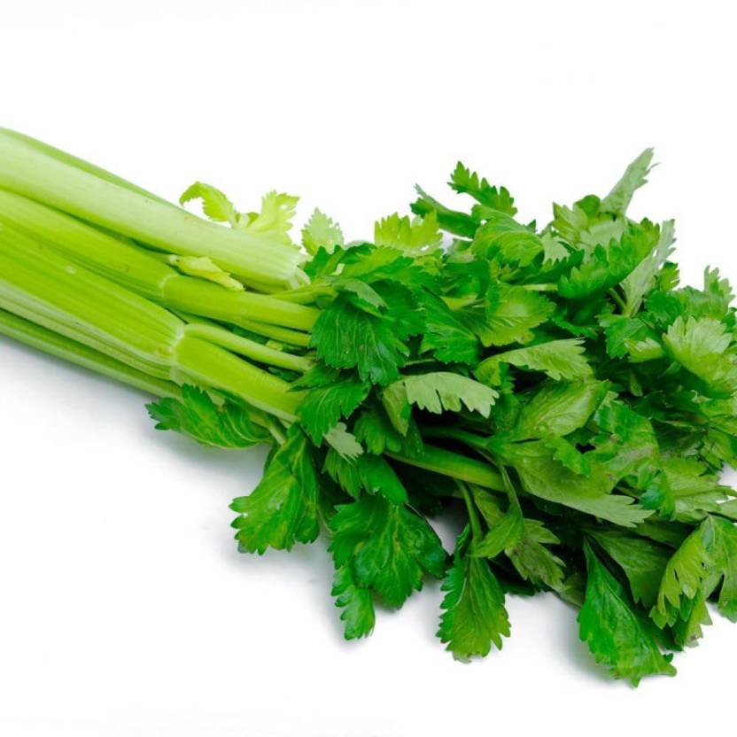 VibeX Vegetable Celery (अजमोद) seeds For Home & Gardening Winter (500 ...