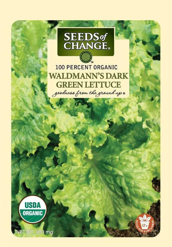 VibeX ® XXL-74 Waldmann's Lettuce, Green Seed Price in India - Buy ...