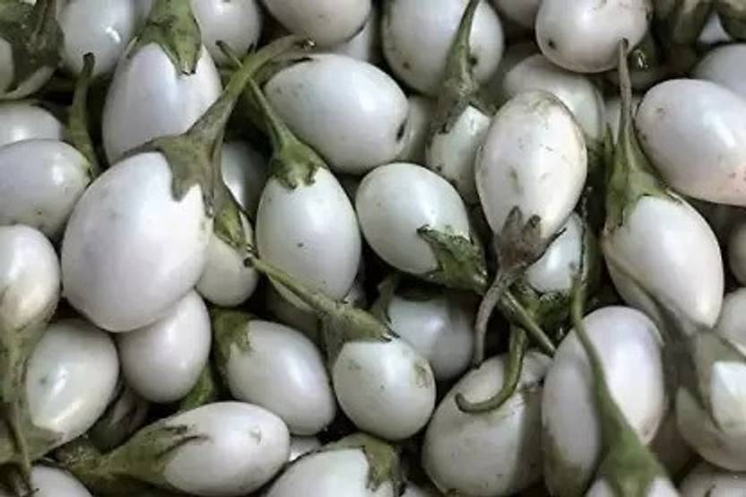 MAA Brinjal white round, Eggplant Seed Price in India - Buy MAA Brinjal ...