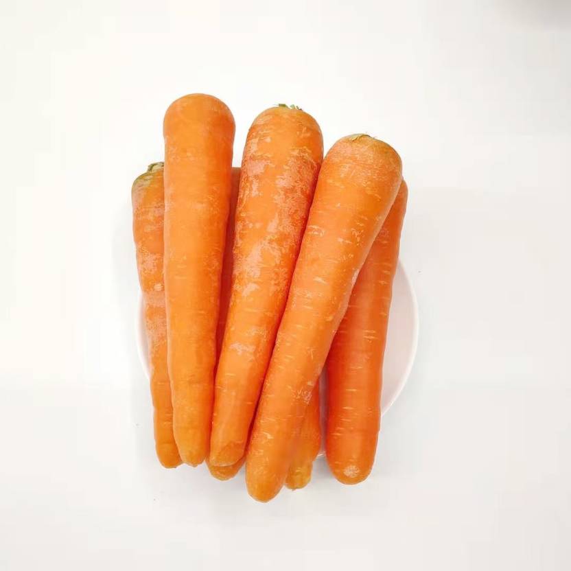 ZIFR Orange Gajar Carrot Vegetable Seed Price in India - Buy ZIFR ...