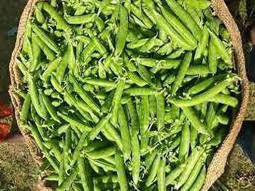 KANAYA Peas(Matar) Seed Price in India - Buy KANAYA Peas(Matar) Seed ...