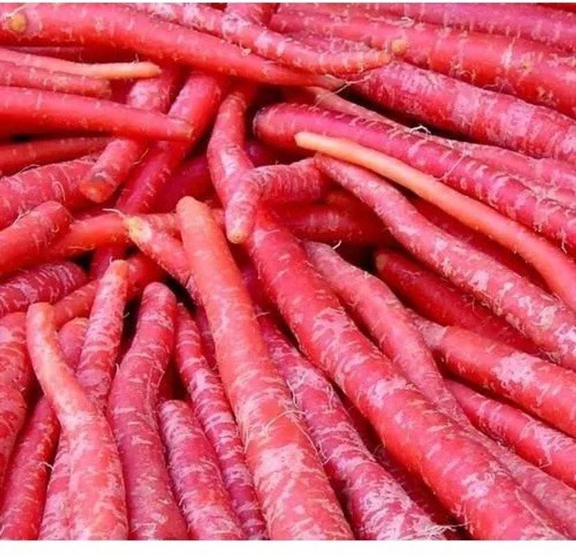 RUDAN Organic Red Carrot (गाजर के बीज) Seed Price in India - Buy RUDAN ...