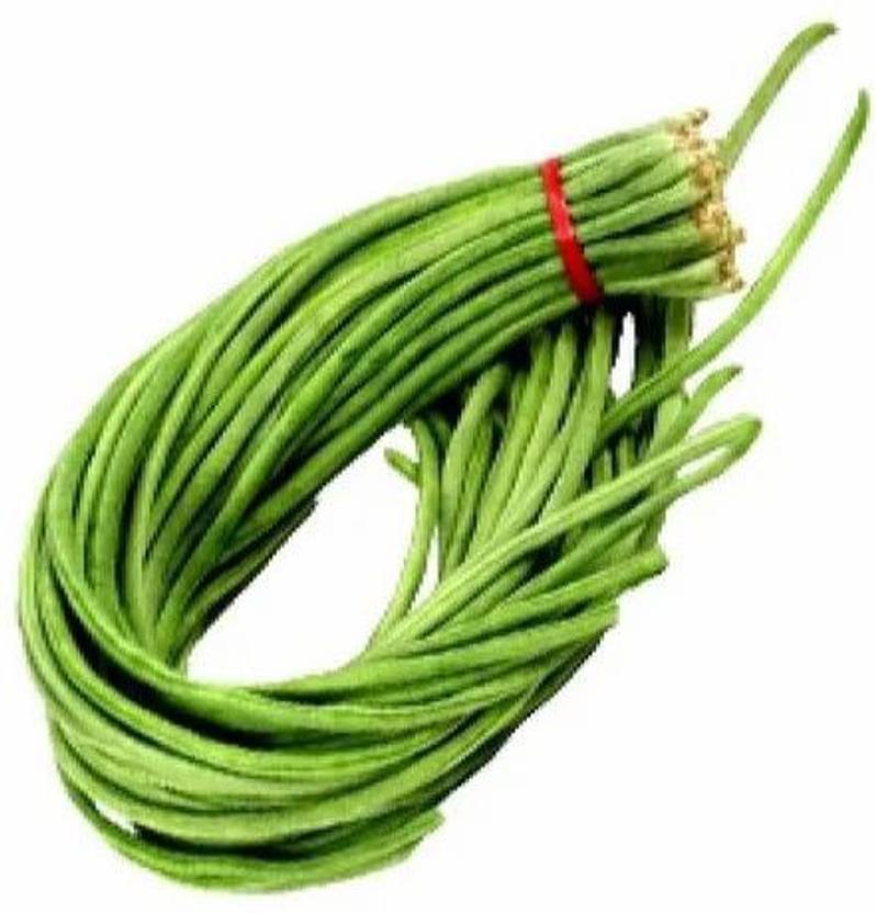 FYSD COW PEA ,BORA SEED( CHAWLA SEED), Barbati seed ,cow pea sees Seed ...