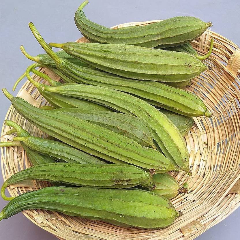 KANAYA Dhari Tori (Ridge Gourd) Hybrid Vegetable Seed Price in India ...