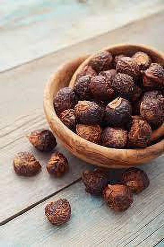 arasutraders Sapindus mukorossi / Indian soapberry / Washnut / Soapnut ...