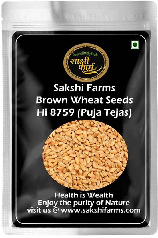 Sakshi Farms Brown Wheat Seeds, Gehu Ka Bheej Seed Price in India - Buy ...