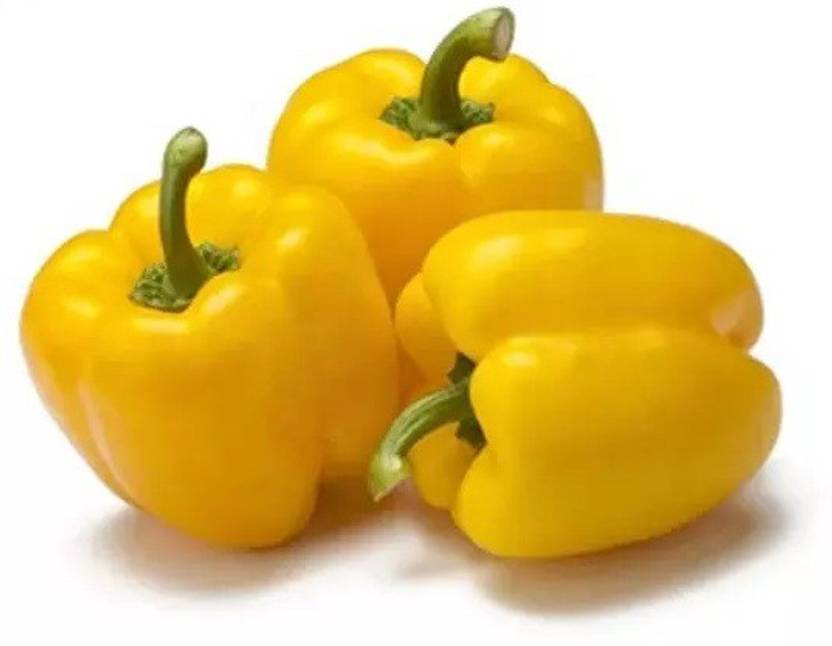VASUDHA Yellow Bell Pepper/Capsicum Seed Price in India - Buy VASUDHA ...