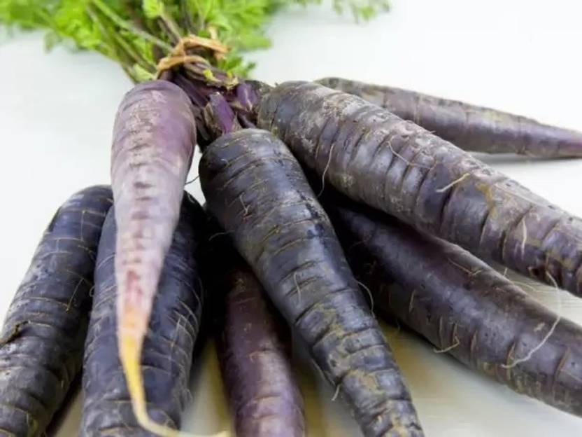 MAA Carrot Black, Gajar Seed Price in India - Buy MAA Carrot Black ...