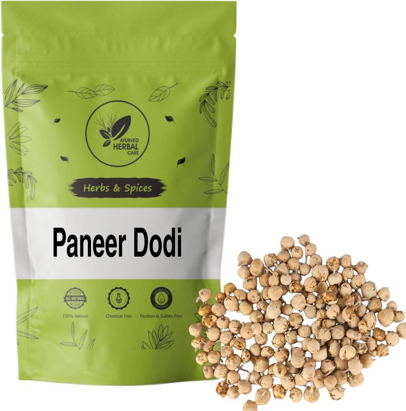 ayurved herbal care Paneer Dodi - Paneer Ke Phool - Withania Coagulan ...