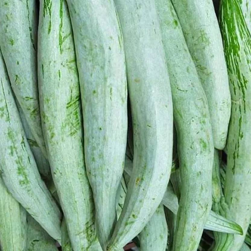 EVERSEED Snake Gourd – Trichosanthes Cucumerina Seed Price in India ...