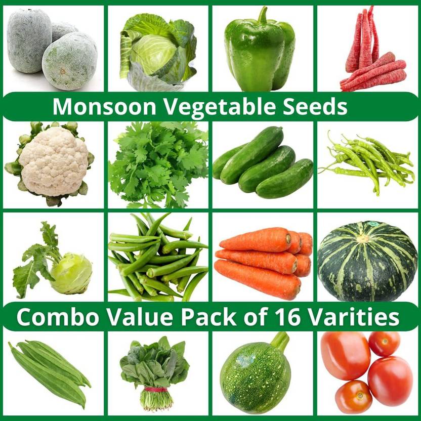 CYBEXIS Rainy Monsoon season Vegetable Combo 16 Varieties Seed Price in ...