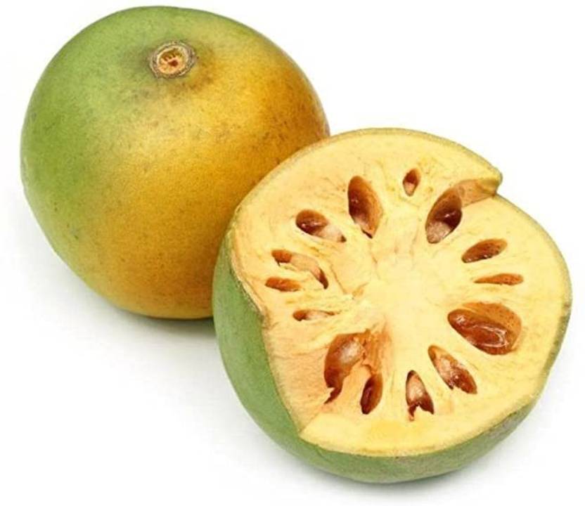 JRYU Bel Patra Fruit Seed Price in India - Buy JRYU Bel Patra Fruit ...