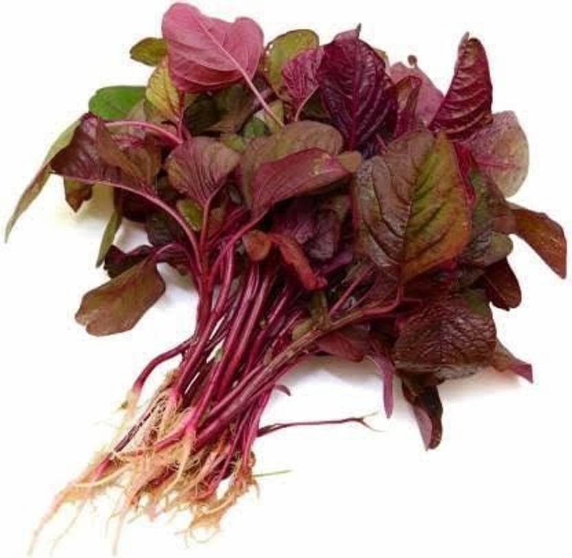 KANAYA Amaranthus Leaf Cholai Red Saag Seed Price in India - Buy KANAYA ...