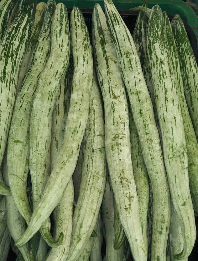 EVERSEED Organic Tori / Snake Gourd / Chichinda Seed Price in India ...