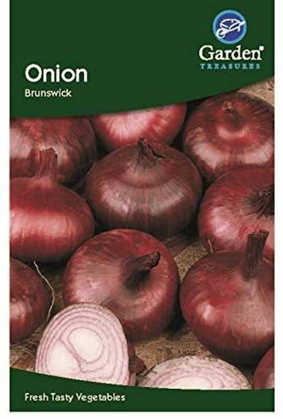 CYBEXIS Red Brunswick Onion Grow Your Own1000 Seeds Seed Price in India ...
