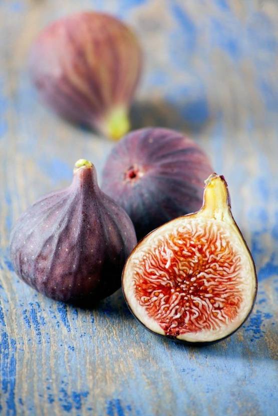 CARIBBEAN PREMIUM HYBRID FIG ANJEER Seed Price in India - Buy CARIBBEAN ...