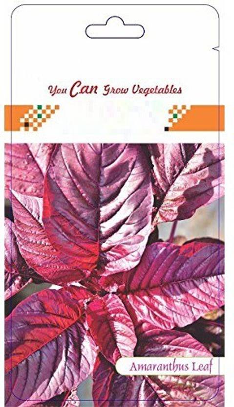 Cybexis Amaranthus Leaf Redcholai Red Saag2000 Seeds Seed Price In