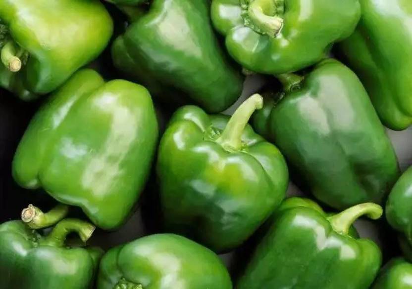 Vasudha Organic Green Capsicum Seed Price In India Buy Vasudha Organic Green Capsicum Seed