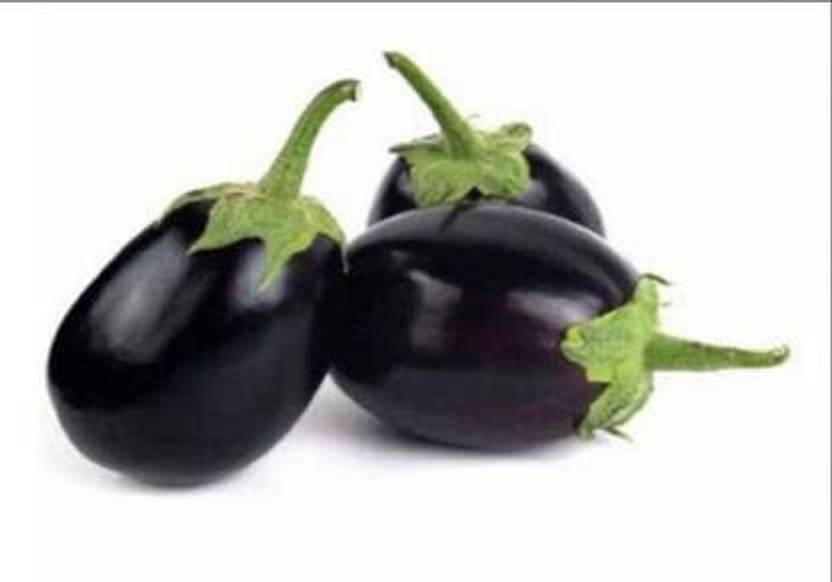 VibeX ® RXI-328 F1 HYBRID BRINJAL CHU CHU/ BAINGAN SEEDS Seed Price in ...
