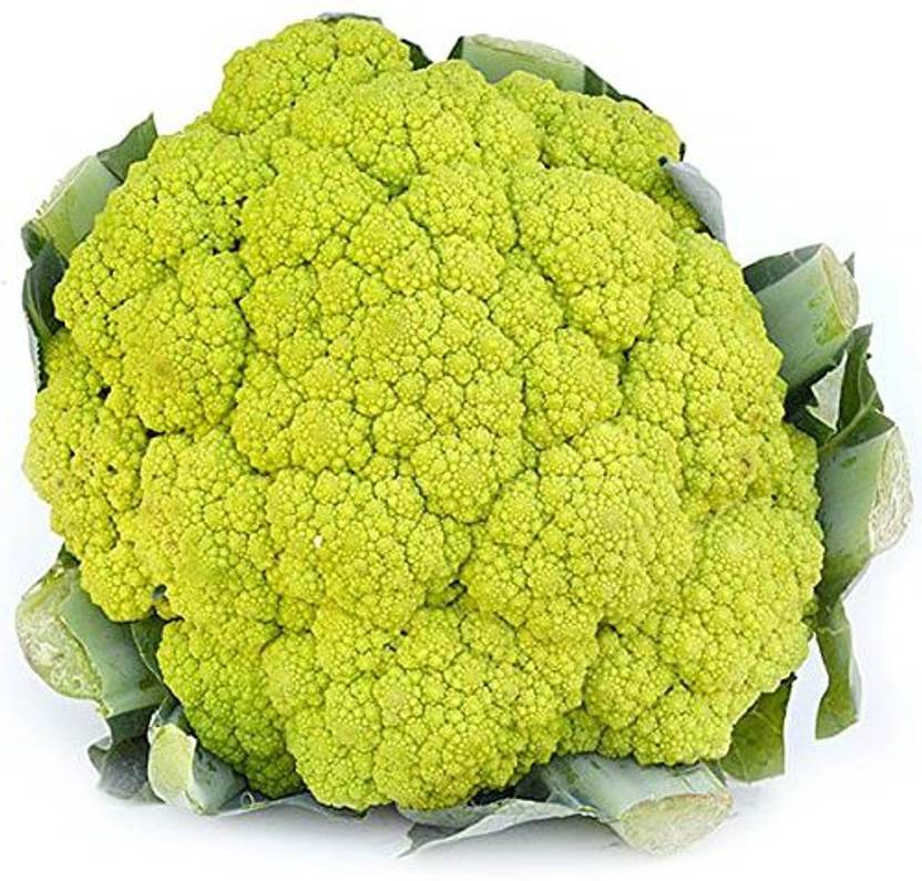 JRYU Cauliflower|Phol Gobhi Hybrid F1 Seeds for Home Gardening Seed ...