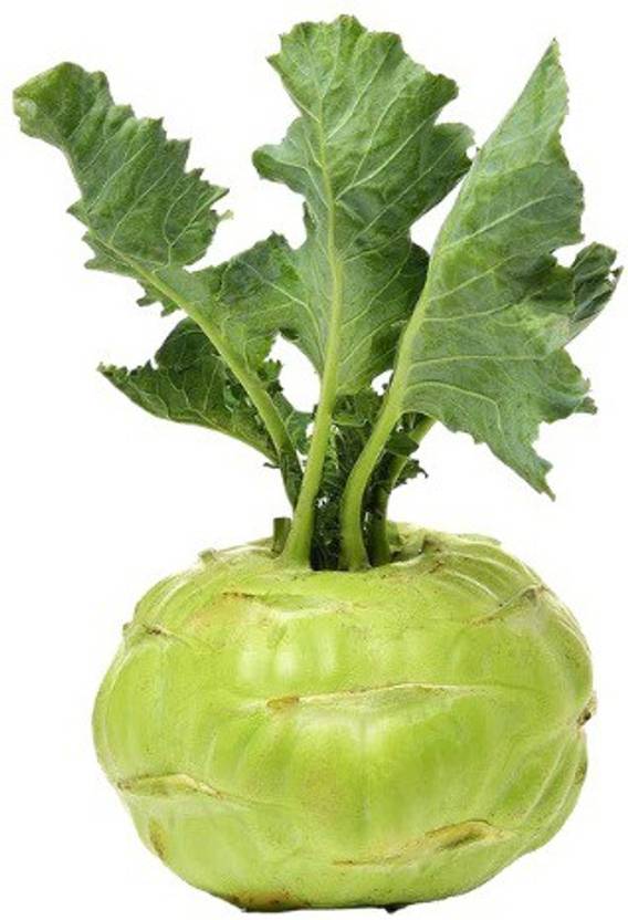 WASP (Ganth Gobhi) Knol Khol गांठ गोभी Seed Price in India - Buy WASP ...