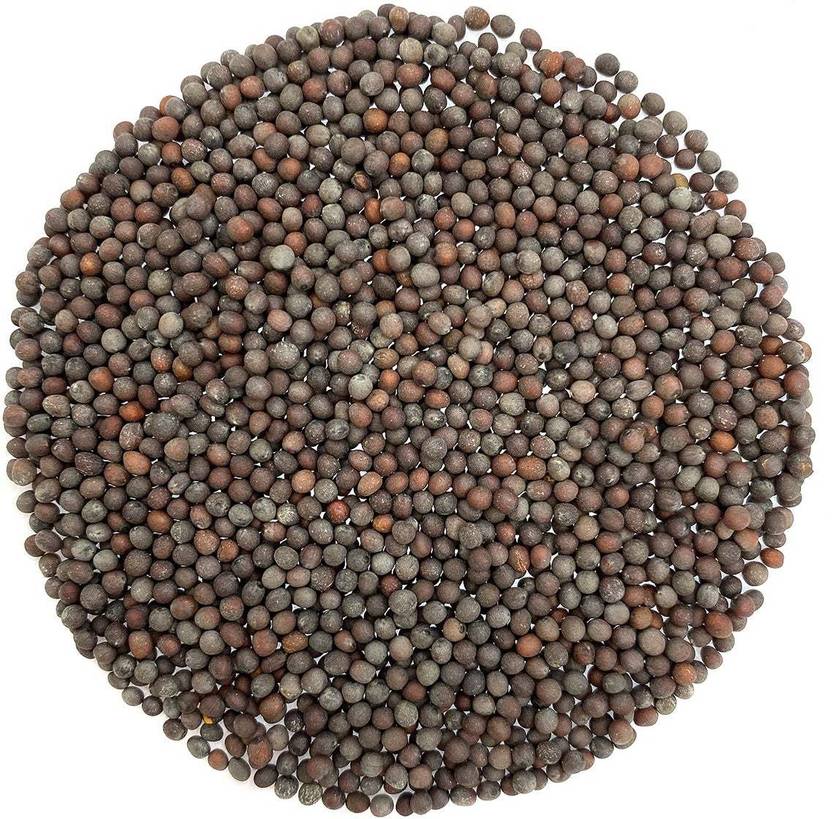Green World Pusa Mustard 28 (NPJ-124) variety seeds/Sarso ke beej for ...
