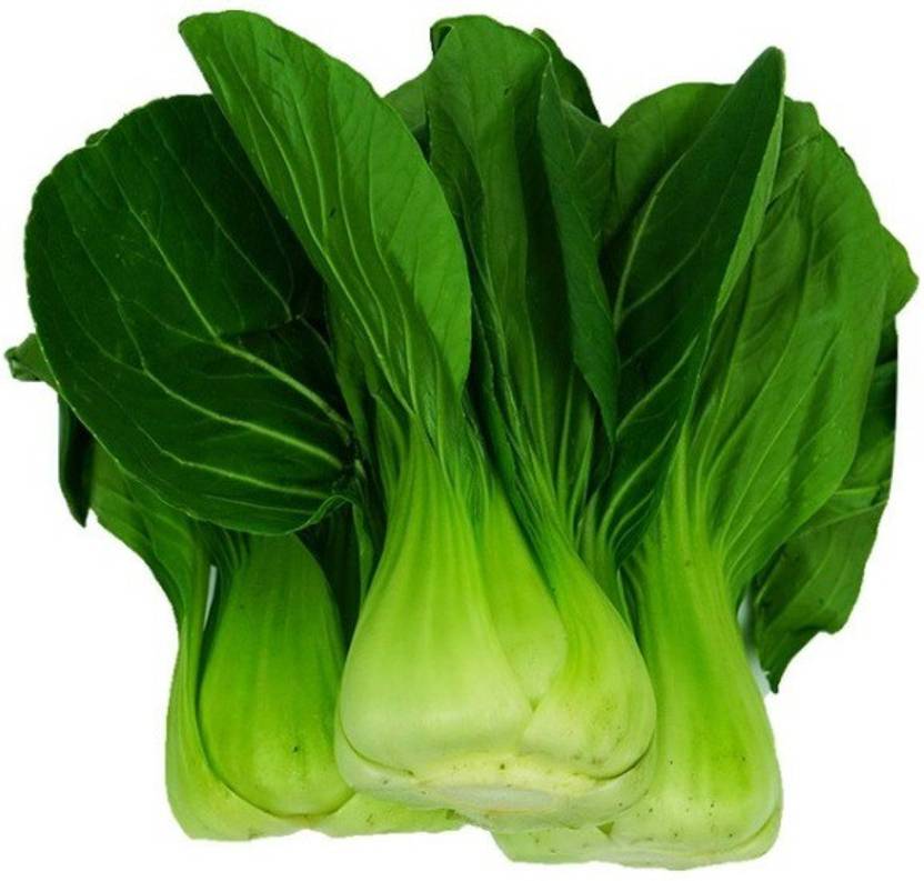 Atlus Pak-Choi Green Brassica campestris Seed Price in India - Buy ...