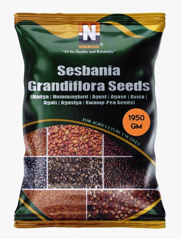 Numinous Sesbania Grandiflora, Hummingbird, Hadga, Agust, Agase, Avisa ...