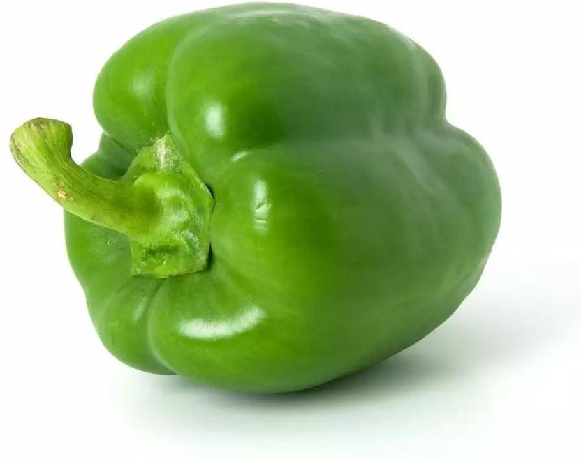 VASUDHA Shimla Mirch/Capsicum/Bell Pepper Seed Price in India - Buy ...
