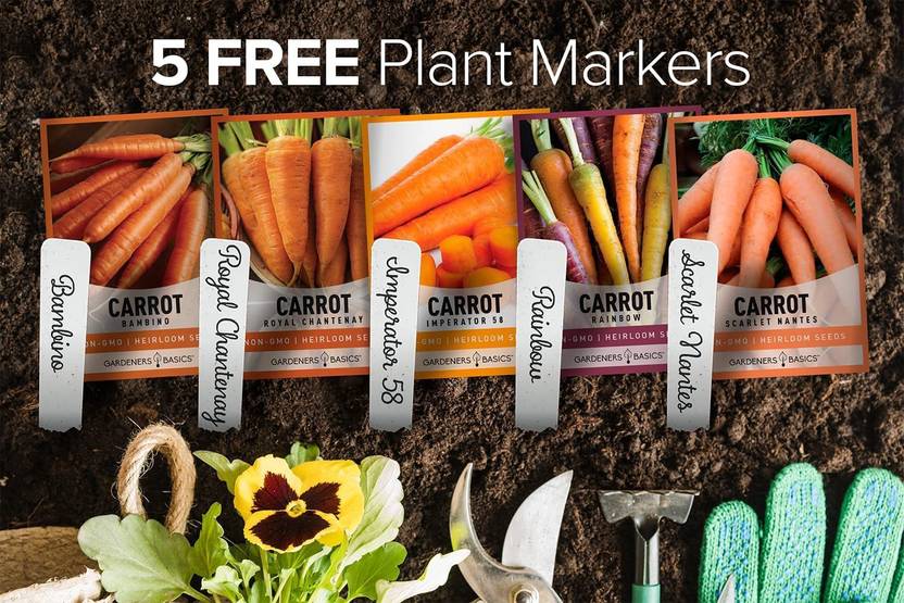 WILLVINE PUAS-5 Carrot Rainbow,Imperator,Scarlet Nantes,Bambino,Royal ...