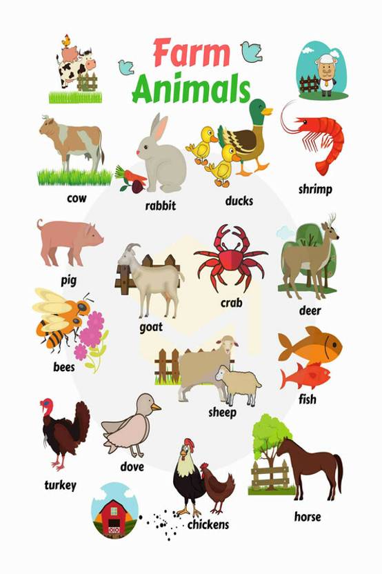 Animals Name Chart Poster with Gloss Lamination Paper Print - Children ...