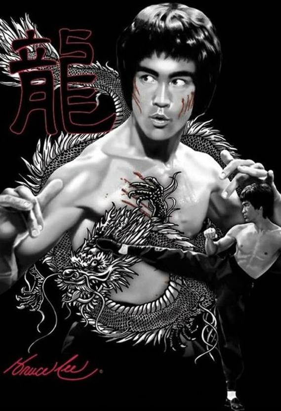 Poster Bruce Lee Sketch Next sl-9517 (Wall Poster, 13x19 Inch, Matte ...