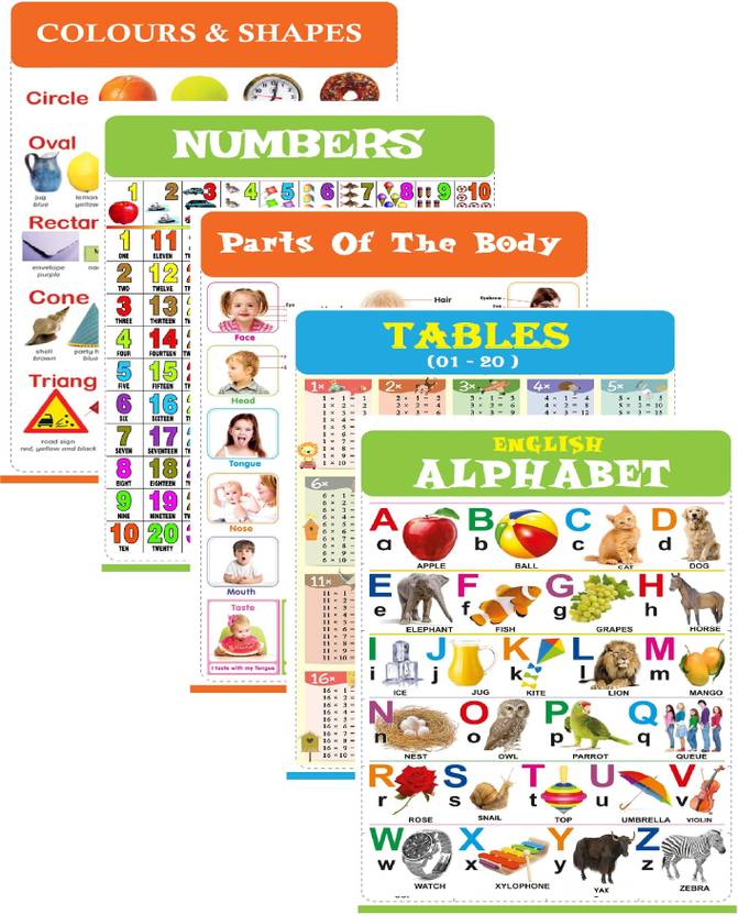Parts Of The Body, Tables, Colours & Shapes Chart for Kids 47x65 cm ...