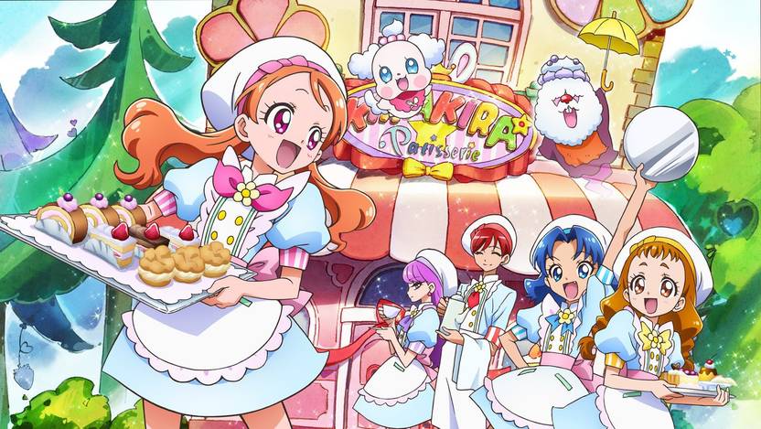 Precure Pretty Cure Anime Series hd Matte Finish Poster Print Paper ...