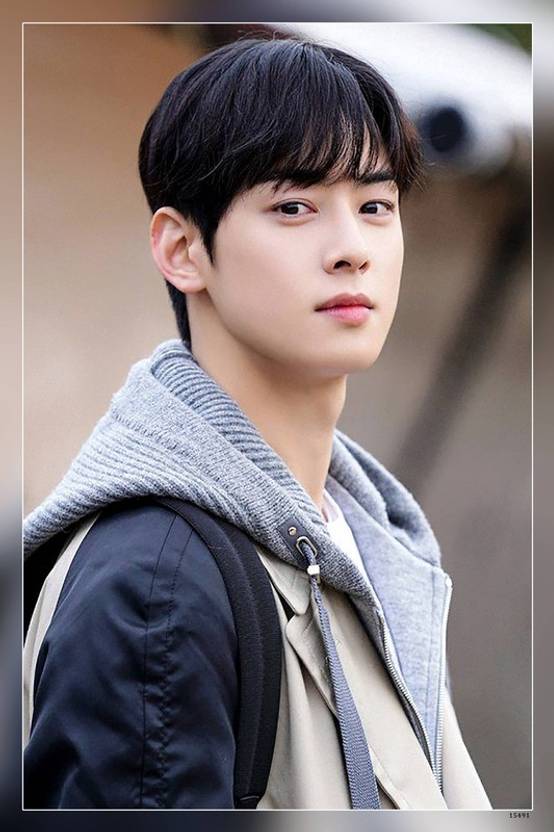 Cha Eun Woo South Korean Actor Matte Finish Poster P-15491 Paper Print ...