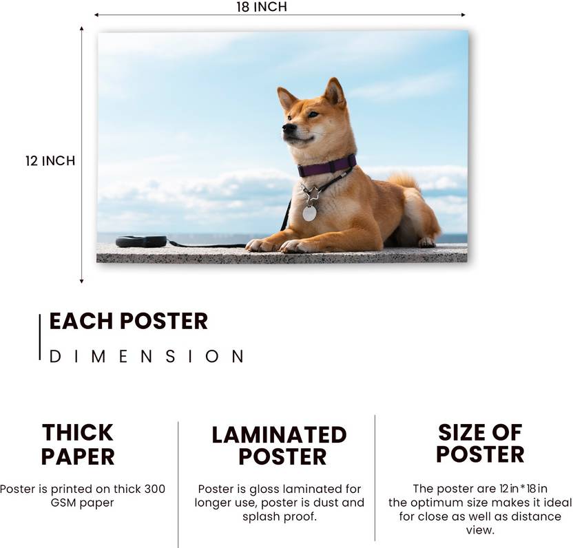 Cute Puppy Landscape Wall Poster With Glossy Paper Print (12*18)inch ...