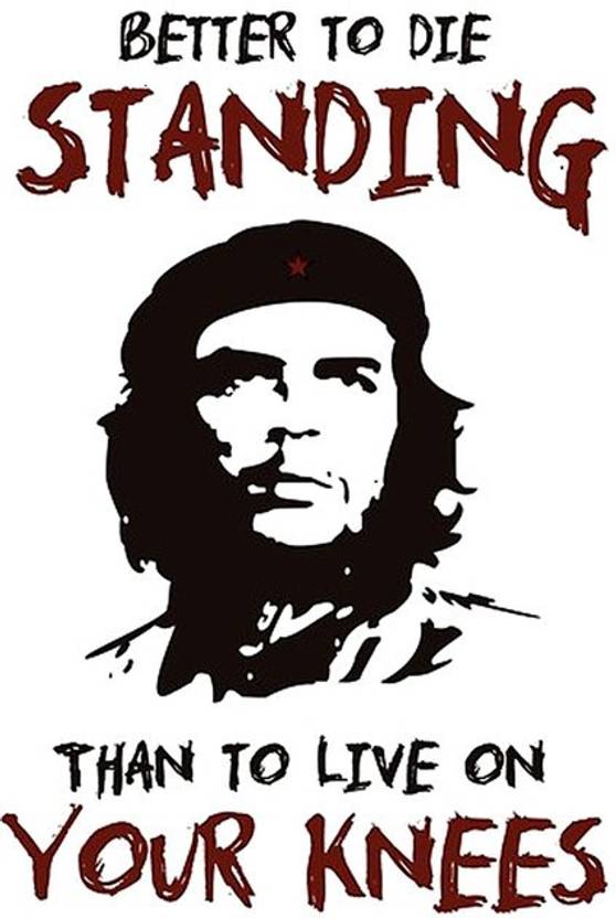 Poster Che Guevara Motivational Quote sl-12765 (LARGE Poster, 36x24 ...