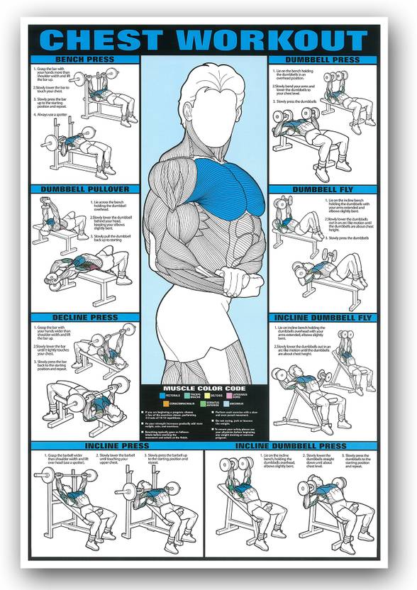 Motivational Inspirational Chest Workout Exercise Gym Poster - 24 x 36 ...