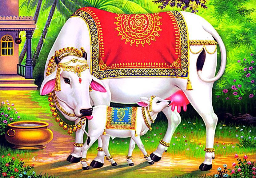 Hindu Religious Kamdhenu Cow with Calf Wall Poster Paper Print ...