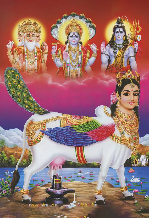 hindu religious Kamdhenu Cow with Brahma Vishnu Mahesh/Shiva Giving ...