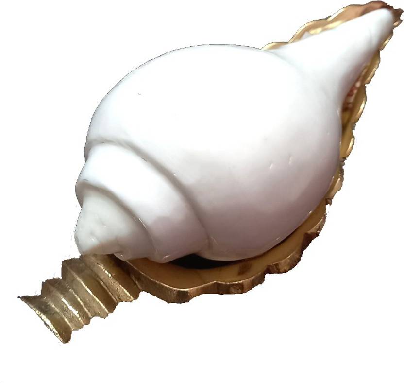 Hinduskart Jal Sankha With Sankha Stand (Sankha Wt:150 grams/Sankha ...