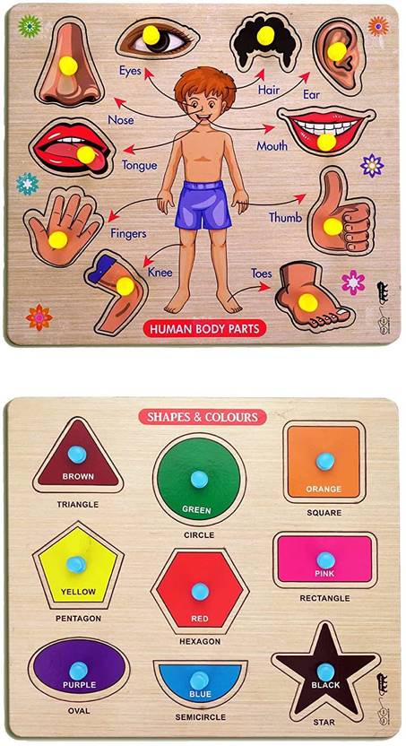 Enorme Mini Wooden Human Body Parts, Shape and Colors Puzzle with Knobs ...
