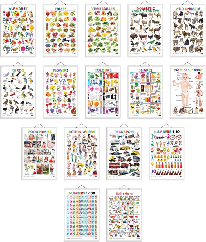 Hard Laminated Educational Charts Complete Combo | Pack Of 16 Charts ...