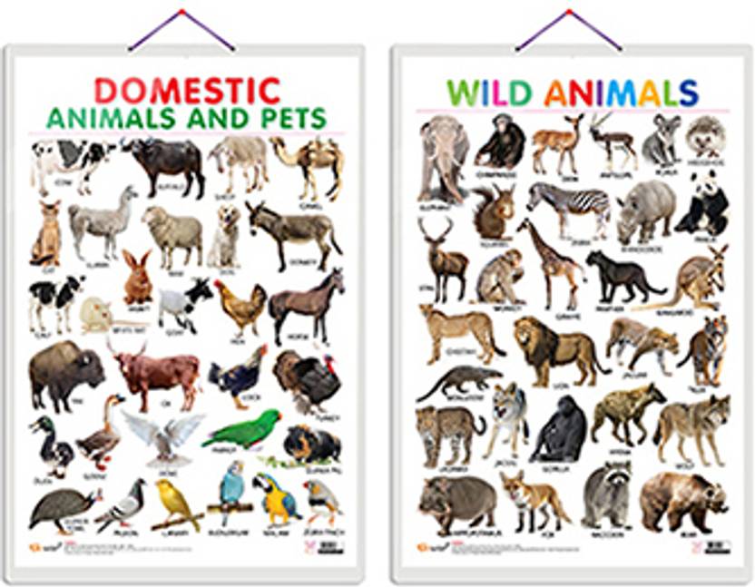 Set of 2 Domestic Animals and Pets and Wild Animals Early Learning ...