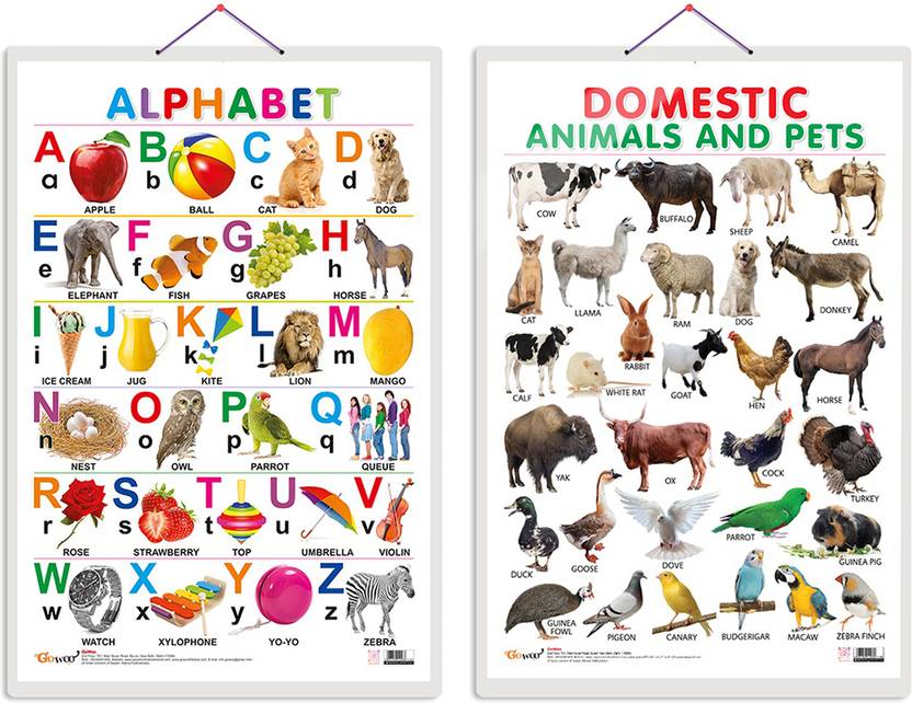 Gift Pack Of 2 (Alphabet And (Domestic Animals And Pets) Charts | Wall ...